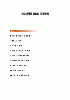 청소년지도 방법의 전개원리-1페이지