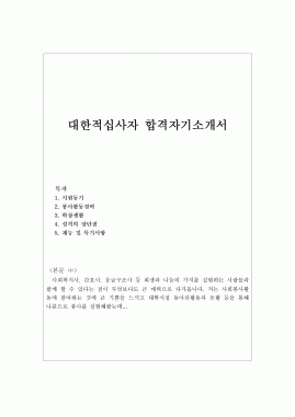 대한적십자자소서 대한적십자사자기소개서자소서 합격자소서+면접,대한적십자사면접자기소개서 대한적십자사혈액원자기소개서 대한적십자사혈액원자소서 대한적십자사 자기소개서대한적십자사면접후기-1페이지