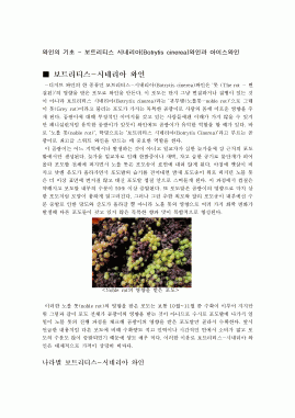 와인의 기초 - 보트리티스 시네리아(Botrytis cinerea)와인과 아이스와인-1페이지