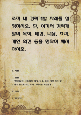 조직 내 경력개발 사례를 설명. 단, 여기서 경력개발의 목적, 배경, 내용, 효과, 개인 의견 등을 명확히 제시-1페이지