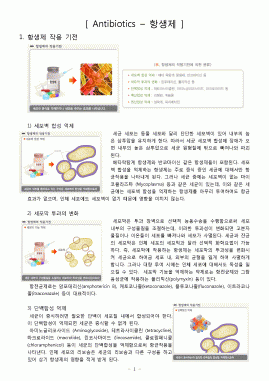 항생제 종류 및 분류-1페이지