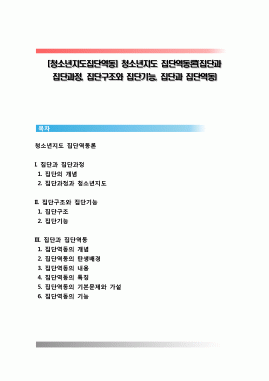 [청소년지도집단역동] 청소년지도 집단역동론(집단과 집단과정, 집단구조와 집단기능, 집단과 집단역동)-1페이지