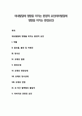 태내발달에 영향을 미치는 환경적 요인(태아발달에 영향을 미치는 환경요인)-1페이지