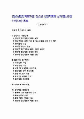 [청소년집단지도과정] 청소년 집단지도의 실제(청소년집단지도의 단계)-1페이지