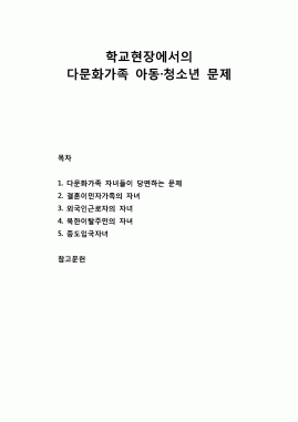 [다문화사회복지] 학교현장에서의 다문화가족 아동·청소년 문제 - 다문화가족 자녀들이 당면하는 문제, 결혼이민자가족의 자녀, 외국인근로자의 자녀, 북한이탈주민의 자녀, 중도입국자녀-1페이지