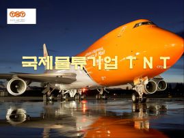 국제물류기업 TNT -1페이지