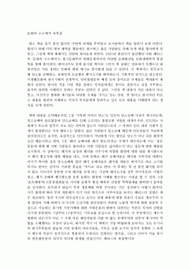 문화의 수수께끼 독후감-1페이지