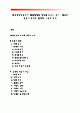 [태내발달영향요인] 태내발달에 영향을 미치는 요인 - 태내기 발달의 유전적, 환경적, 외부적 요인-1페이지