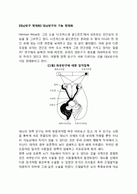 [대뇌반구 편재화] 대뇌반구의 기능 편재화-1페이지