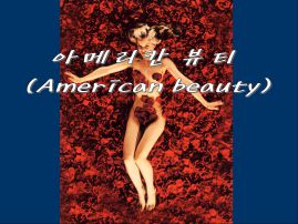 아메리칸 뷰티 (American beauty) -1페이지