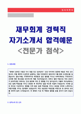 (경리직/회계팀 자기소개서 + 이력서양식)  2020년 사무직/재무회계 경력직 자기소개서 합격자 예문 + 이력서양식 [경리 자기소개서 샘플/회계팀 자기소개서/인사총무 자기소개서 경영지원/사무직 합격자소서]-1페이지