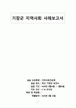 기장군 보건소 지역 케이스-1페이지