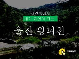  고전문학과 문화기행 - 울진 왕피천 ( 왕피천 개요, 왕피천 생태 탐방, 왕피천 관리 및 운영, 왕피천 생태 프로그램, 문제점 및 활성화 방안, SWOT분석 및 STP분석 )-1페이지