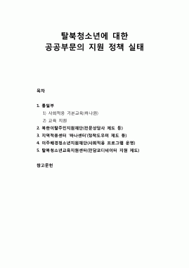 [청소년복지] 탈북청소년에 대한 공공부문의 지원 정책 실태 - 통일부(사회적응 기본교육, 교육 지원), 북한이탈주민지원재단, 지역적응센터(하나센터), 이주배경청소년지원재단, 탈북청소년교육지원센터-1페이지