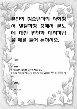 본인의 청소년기의 사회정서 발달과정 중에서 분노에 대한 원인과 대처기법을 예를 들어 논하시오-1페이지