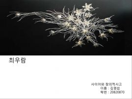 <현대미술> 한국 대표작가 최우람-1페이지