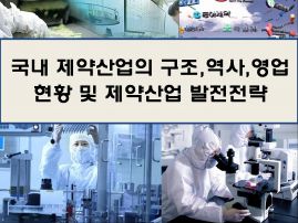 국내 제약산업의 구조, 역사, 영업현황 및 제약산업 발전전략-1페이지