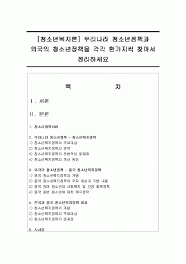 [청소년복지론] 우리나라 청소년정책과 외국의 청소년정책을 각각 한가지씩 찾아서 정리하세요 : 청소년정책-1페이지