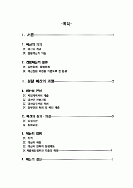 [경찰행정론]경찰 예산의 과정 (레포트)-1페이지