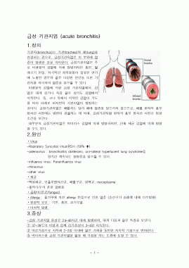 [의약학] 아동 기관지염-1페이지