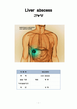 간농양 케이스 사례연구 A+ 받음 수쌤한테도 폭풍칭찬받았아요-1페이지