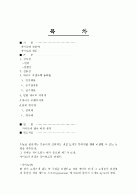 자이로에 관하여-1페이지