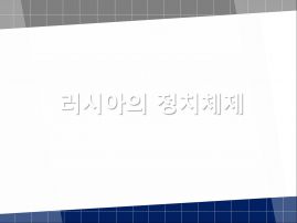 러시아 정치체제-1페이지