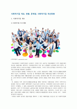 [사회적기업] 사회적기업 개요, 현황, 문제점, 사회적기업 개선방향 - 사회적기업-1페이지