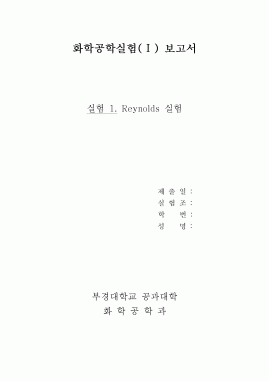 Reynolds 실험-1페이지