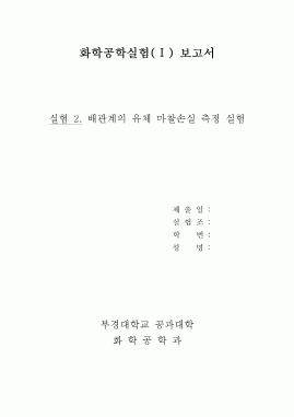 배관계의 유체 마찰손실 측정 실험-1페이지