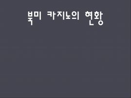 북미 카지노의 현황-1페이지