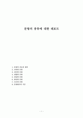 문항의 종류에 대한 레포트-1페이지