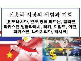 신흥국 시장의 위험과 기회 [인도네시아, 인도,중국,베트남, 필리핀, 파키스탄,방글라데시, 터키, 이집트, 이란,파키스탄, 나이지리아, 멕시코]-1페이지