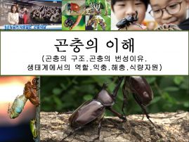 곤충의 이해(곤충의 구조.곤충의 번성이유.생태계에서의 역할.익충.해충.식량자원)-1페이지