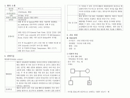 [A+, 교수님께 칭찬받은 케이스] 아동간호 실습 케이스 Case 열성경련 열성발작 Febrile seizure sz 간호진단 간호사정 간호계획 간호목표 간호중재 이론적근거 간호평-1페이지