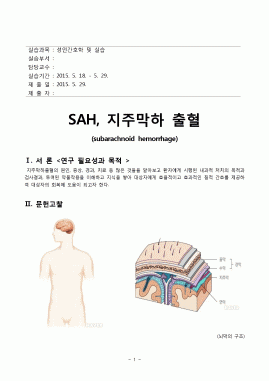 <간호학> 성인간호학 지주막하출혈 케이스-1페이지