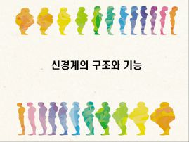 신경계의 구조와 기능에 관해-1페이지