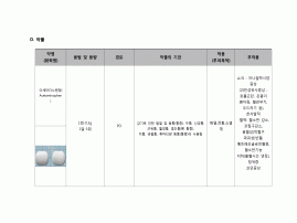 성인간호학 case study 입니다.진단명 Pneumonia(약물-간호계획까지)-1페이지