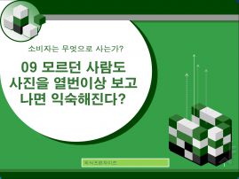 소비자는 무엇으로사는가/09.모르던사람도 사진을 열번이상 보고 나면 익숙해진다? (PPT)-1페이지