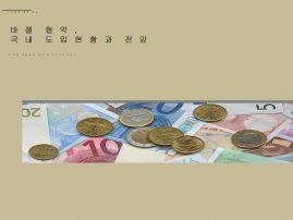 바젤3 국내 도입현황과 전망-1페이지