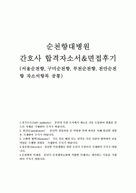 순천향병원자소서 순천향대병원자기소개서 순천향대학교병원자소서(합격자기소개서)면접+자기소개서/순천향병원면접자기소개서 순천향대병원자소서 순천향대학교병원자기소개서 순천향병원간호사자소서-1페이지