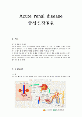 A++++ 급성신장질환(Acute renal disease) 케이스: 연구의 필요성부터 ~ 문헌고찰,간호과정, 간호사정, 간호진단-1페이지