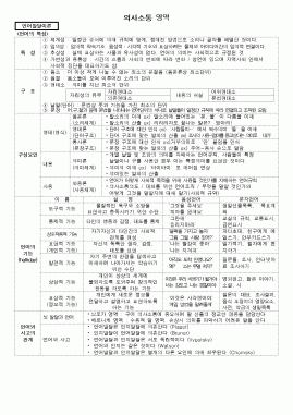 유치원 누리과정 의사소통 영역 해설서 정리 및 관련 이론모음-1페이지