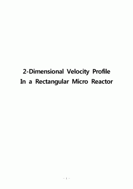 유체이동현상 2-Dimensional Velocity Profile In a Rectangular Micro Reactor-1페이지