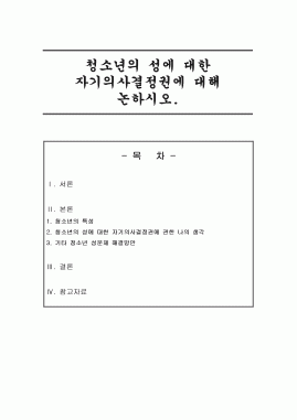 청소년의 성에 대한 자기의사결정권에 대해 논하시오-1페이지