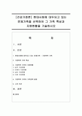 [건강가정론] 현대사회에 대두되고 있는 문제가족을 선택하여 그 가족 특성과 지원현황을 기술하시오 - 문제가족-1페이지