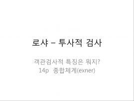 로샤-투사적 검사-1페이지