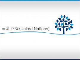 국제연합의 성립,국제연합의  조직,국제연합의 활동 및 평가,국제연합의 과제,안전보장이사회,경제사회이사회총회,평화유지활동-1페이지