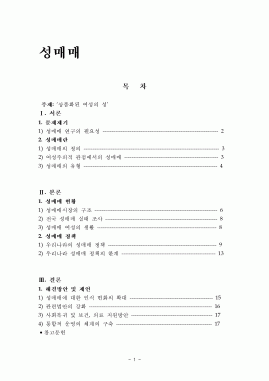 상품화된 여성,성상품화,성매매의 정의,성매매의 유형,성매매시장의 구조,우리나라의 성매매 정책,우리나라의 성매매 정책-1페이지