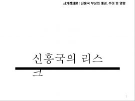 세계경제론신흥국 부상의 배경,신흥국의 리스크,인플레이션 위험성,실물경제체제,선진국에의 의존성-1페이지